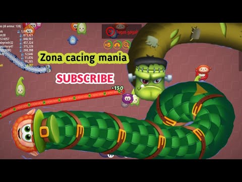 🔴 Worm zone io | worm mate | slither io | best trap worm zone - YouTube