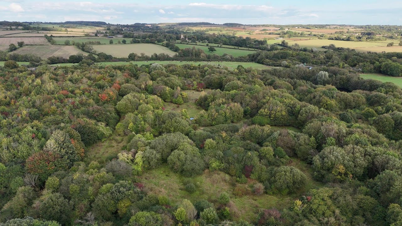 Dean Common Nature Reserve (27-9-2024) - YouTube