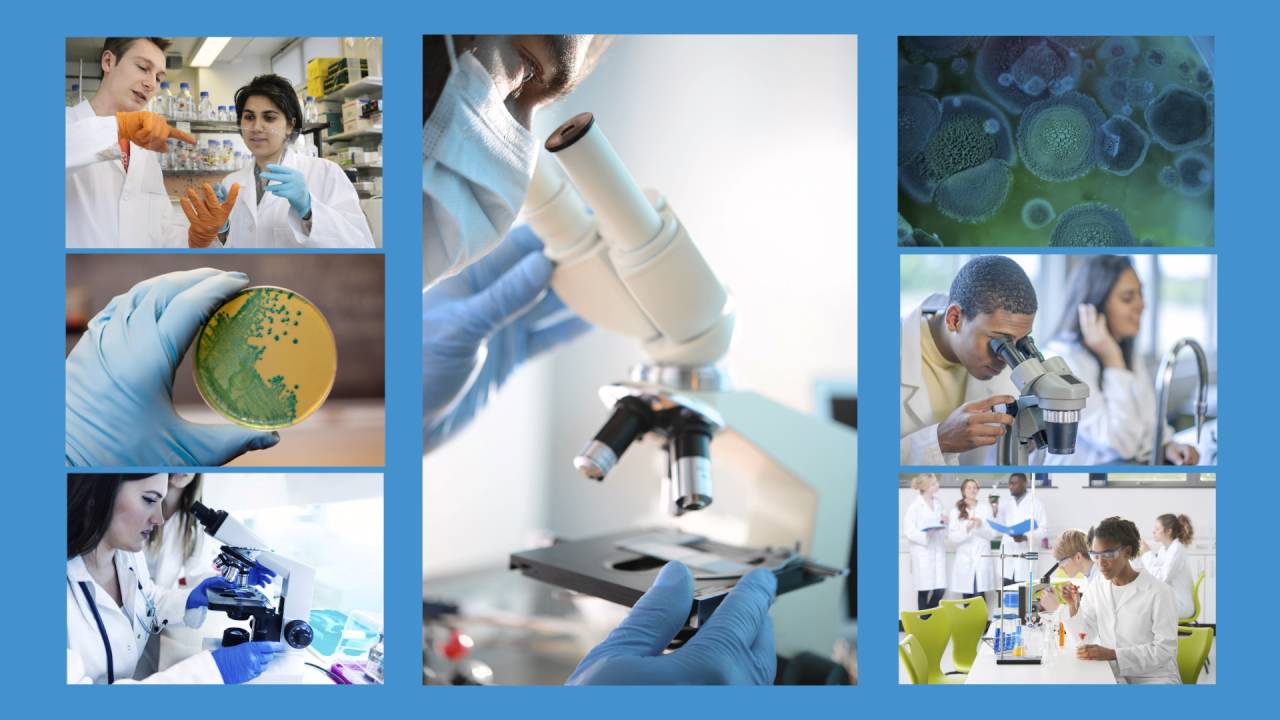 Job Opportunities in Biotech - YouTube