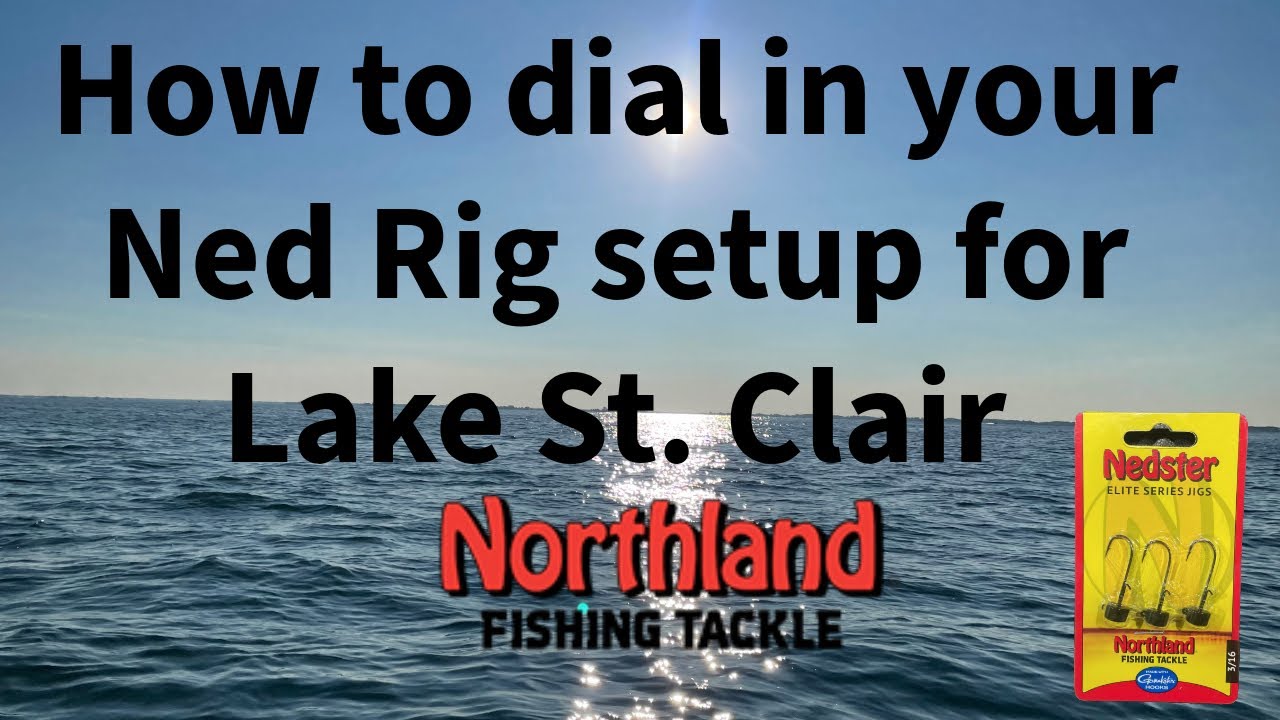 How to dial in your Ned Rig setup for Lake St. Clair - YouTube