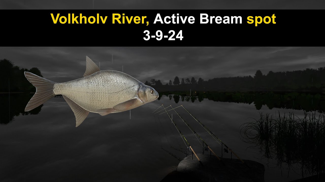 Russian Fishing 4, Volkhov River, Active Bream spot 3-9-24 - YouTube