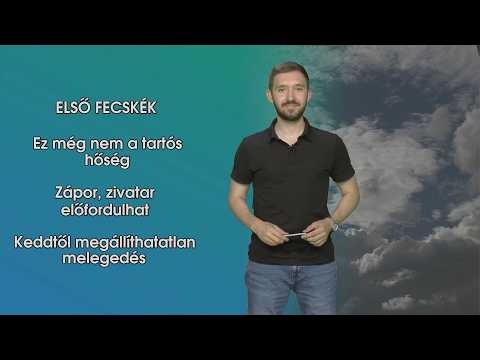 Első fecskék