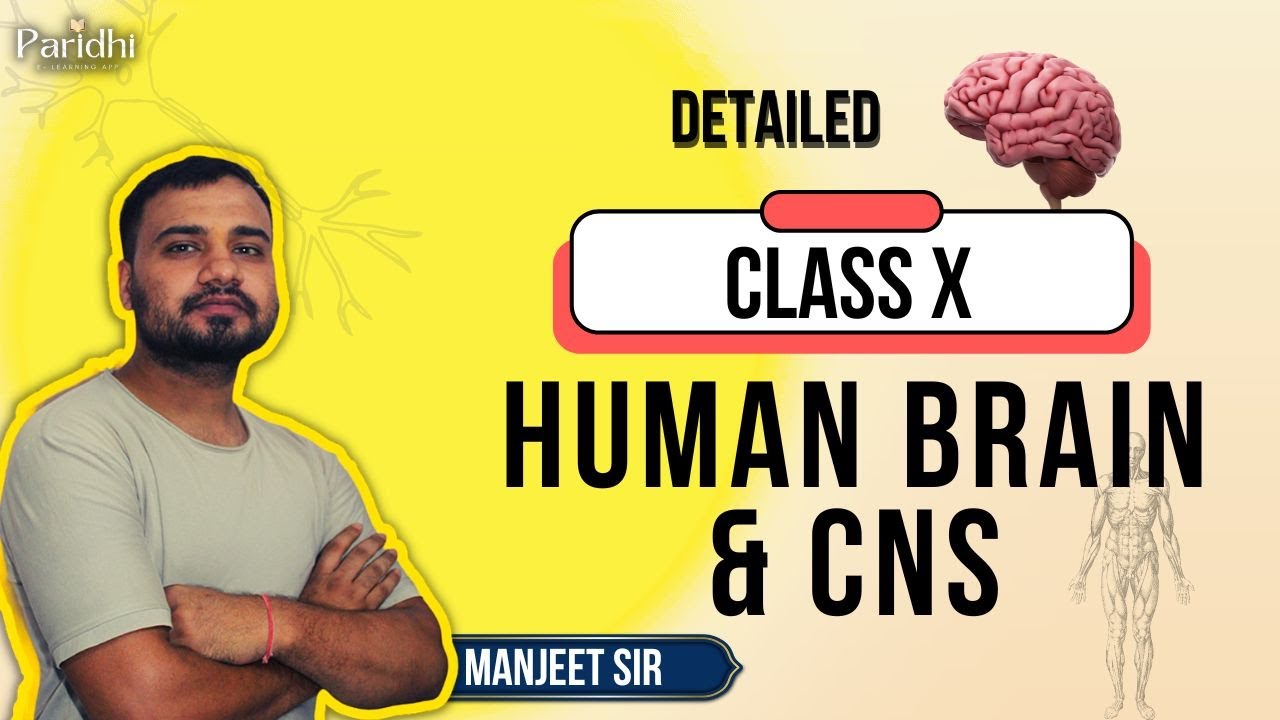 CLASS 10th Human Brain-CNS Detailed Explaned /Manjeet Sir Biology 2024 ...