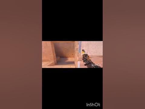 коил коил - YouTube