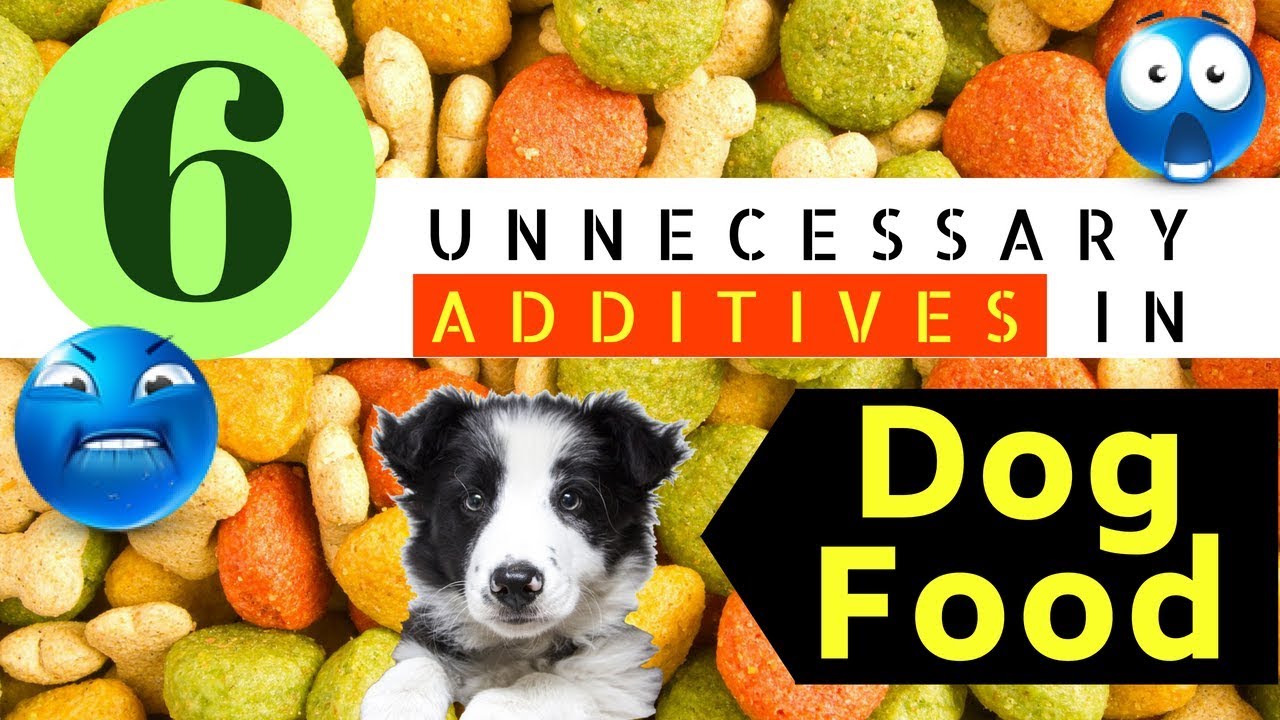 6 Unnecessary Additives in Many Dog Foods - YouTube