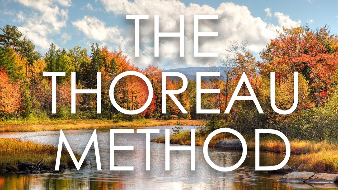 How To Declutter Your Brain And Increase Focus | Cal Newport Ep. 159 ...