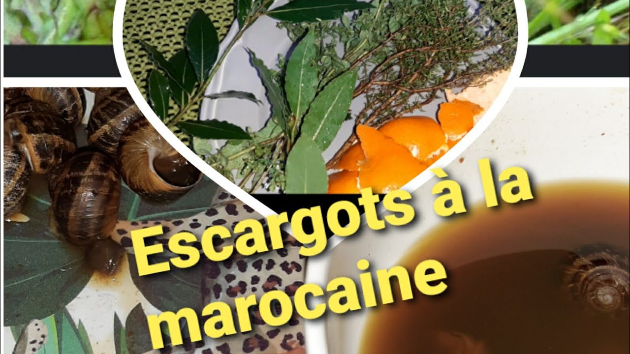 Escargots à la marocaine غلا ل - YouTube
