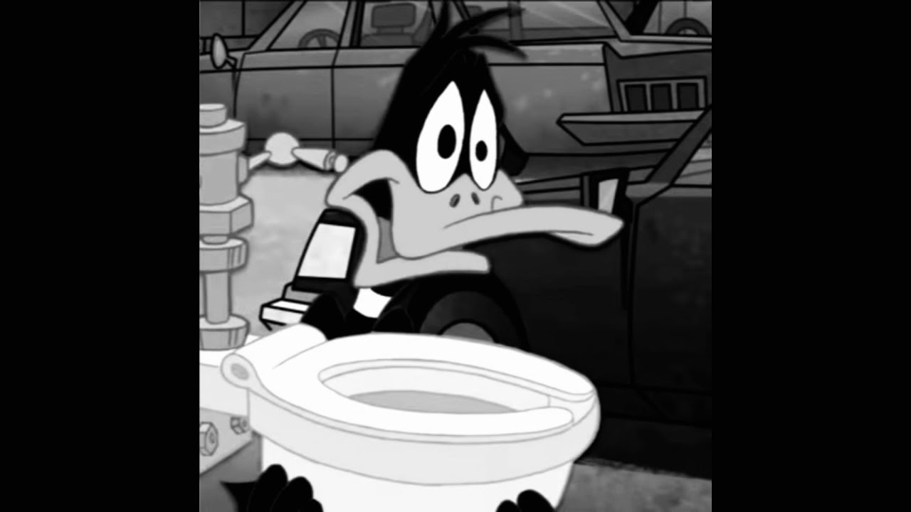 Daffy Duck’s Sigma Male Rules - YouTube