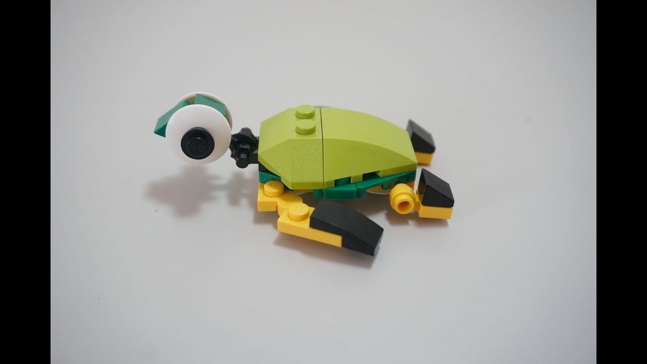 LEGO Turtle Building Instructions- LEGO Classic- Build N learn box 2901 ...