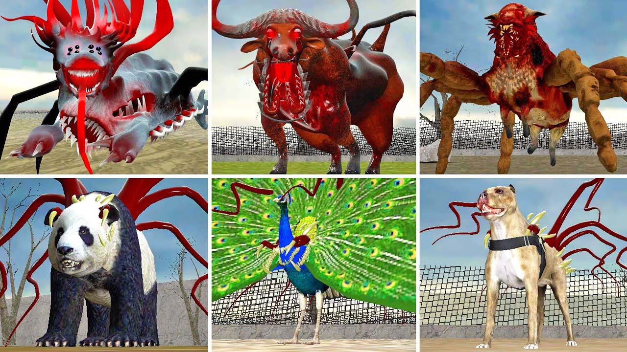 ZOOCHOSIS ALL NEW RELEASE CANDIDATTE ANIMALS MONSTERS ANIMALS In Garry ...