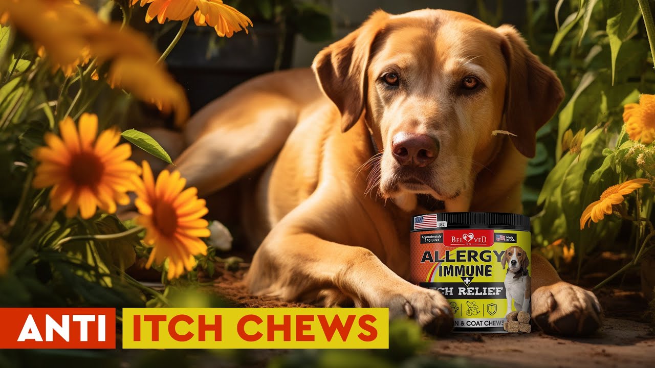 Dog Anti Itch & Allergy Relief Chews - Dry Itchy Skin & Hot Spot ...