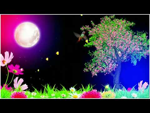 Green Screen video || Moon and stars and pair of plants background template video