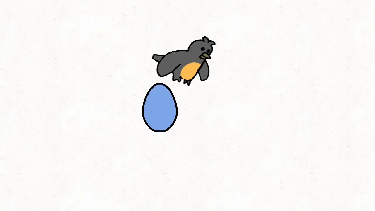 Robin Bird (animation practice) - YouTube