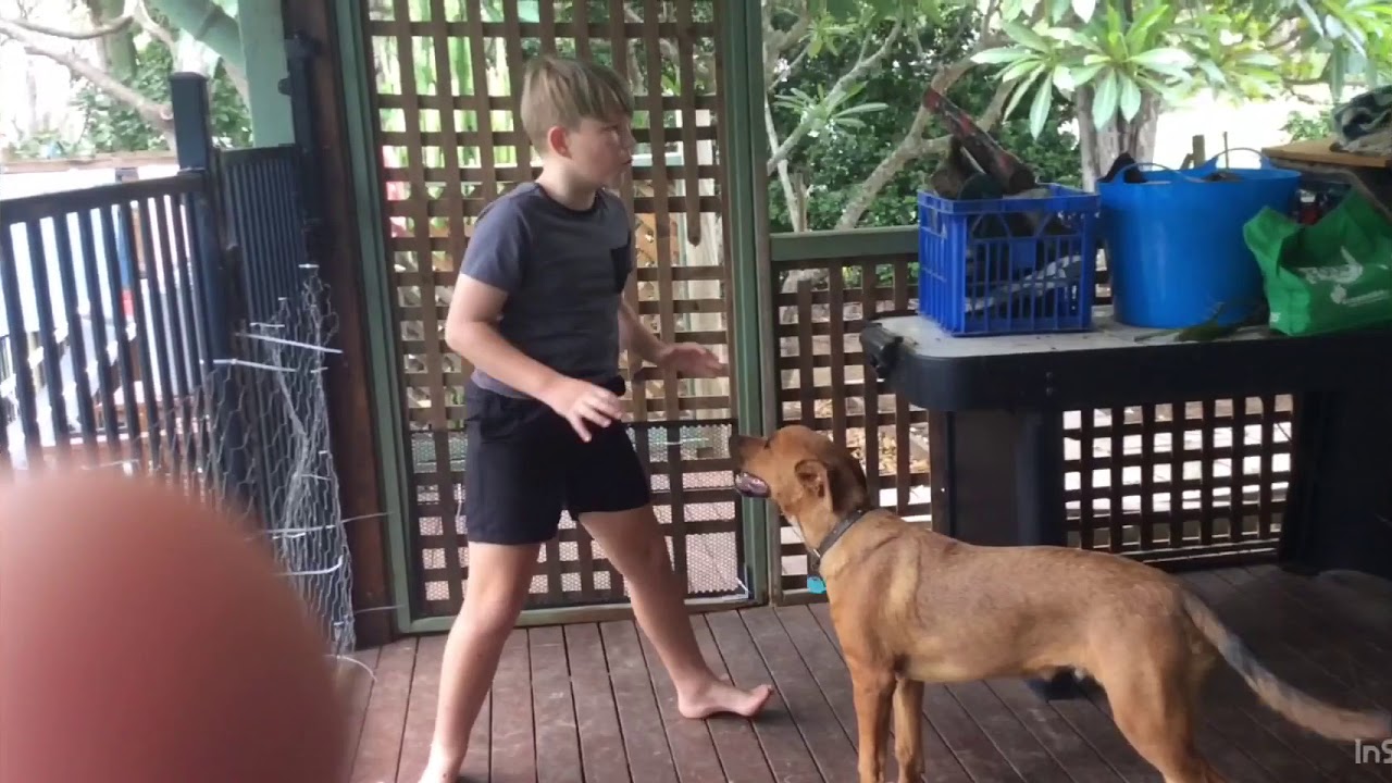 I wanna be a cowboy baby - YouTube