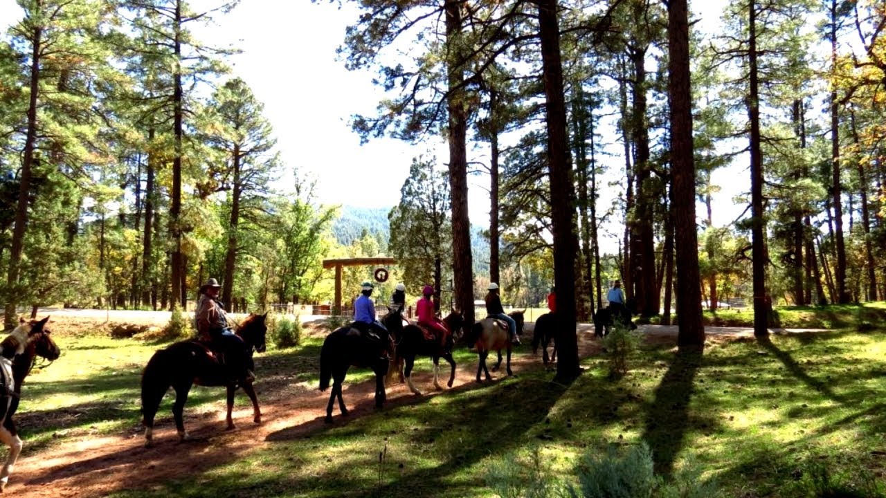 Whispering Hope Ranch - YouTube