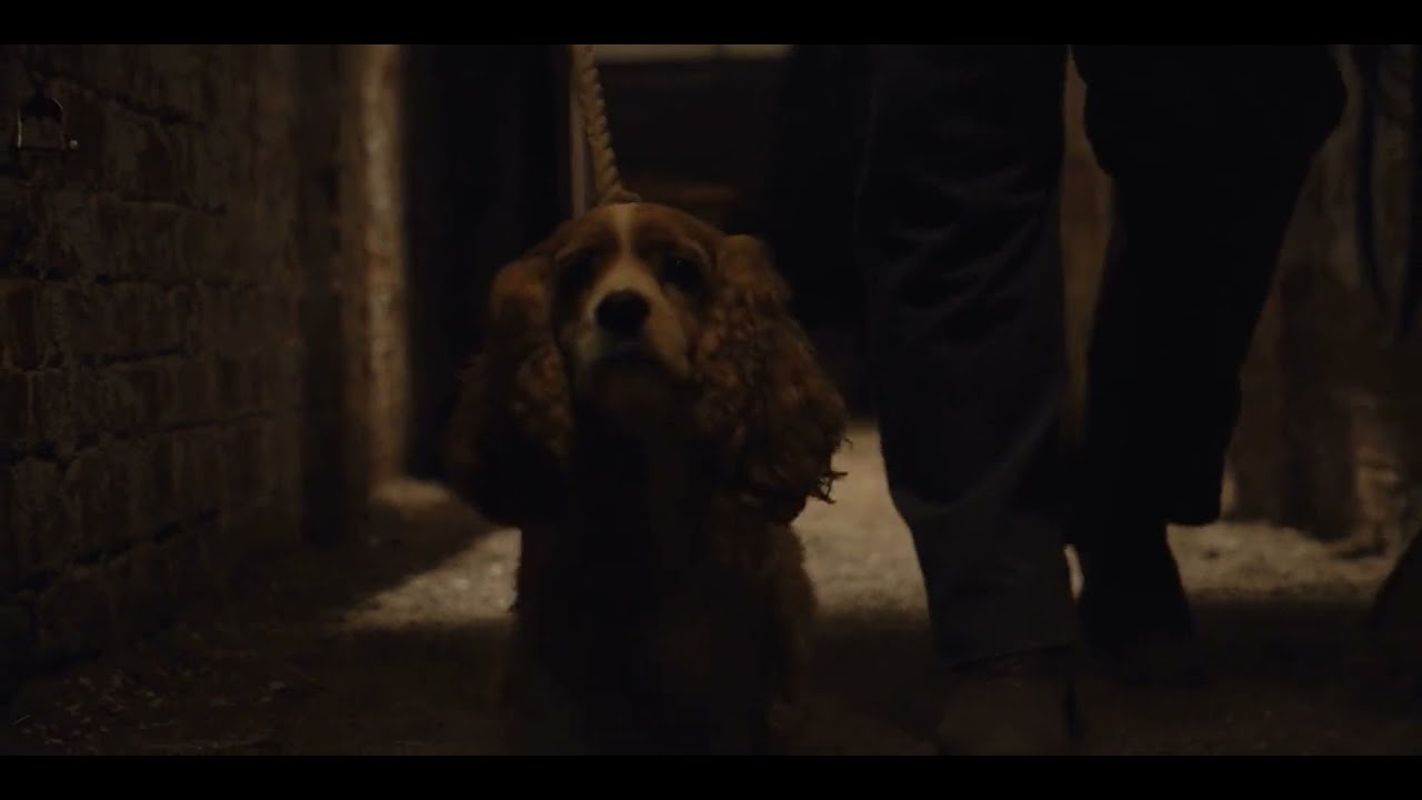lady and the tramp (2019) - lady at the pound - YouTube