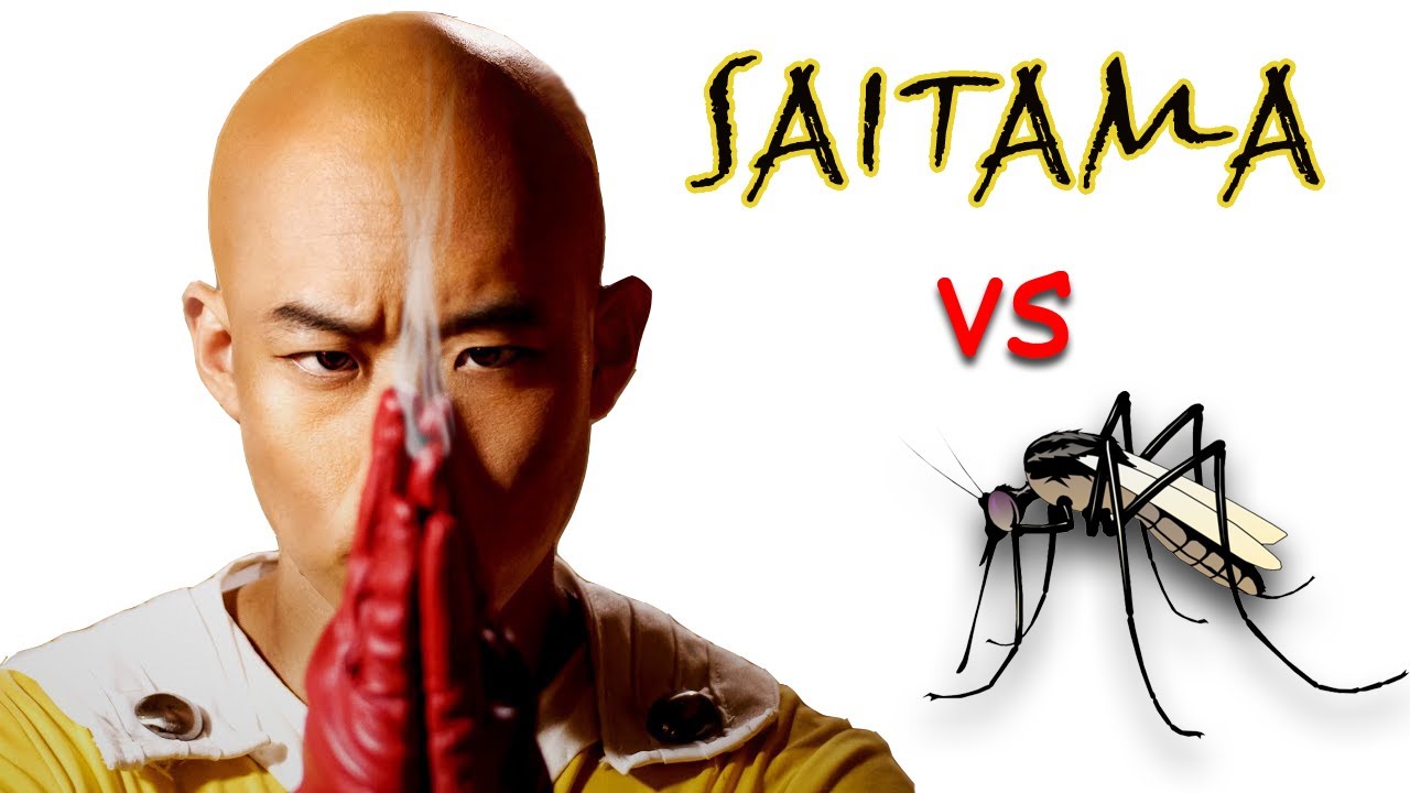 One Punch Man LIVE ACTION Real Life, SAITAMA VS MOSQUITO - YouTube
