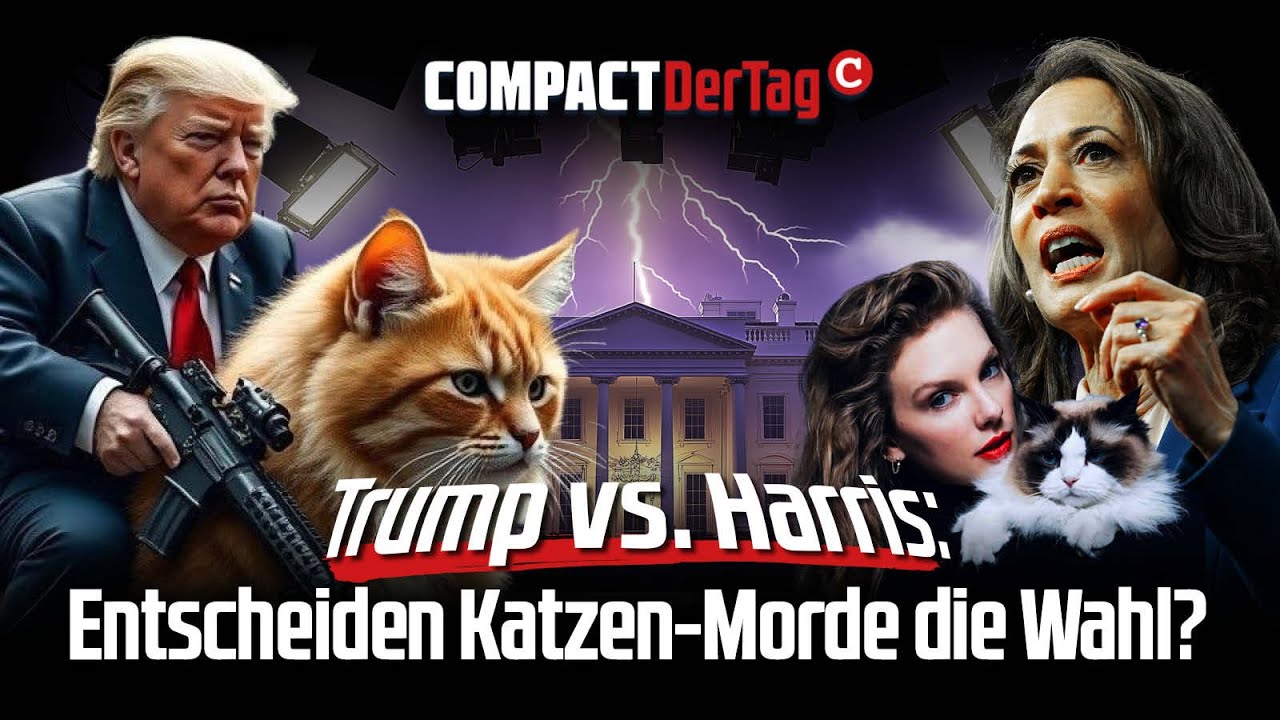 Trump vs. Harris: Entscheiden Katzen-Morde die Wahl?💥 - YouTube