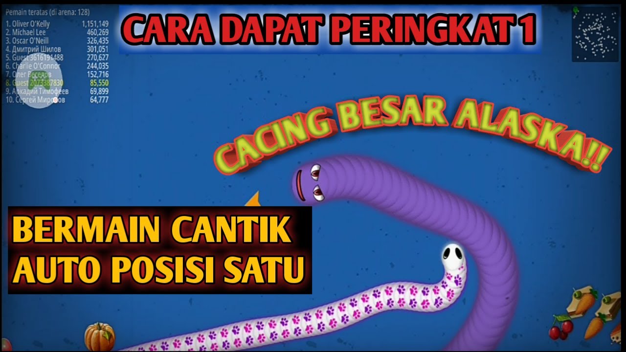 CACING BESAR ALASKA worm zone || cara mendapatkan posisi pertama - YouTube