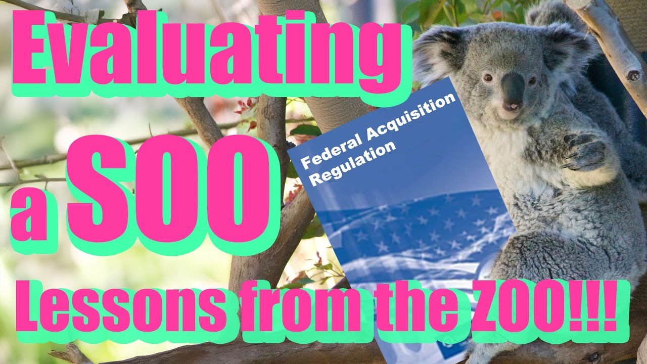 Learn How to Evaluate a SOO...at the ZOO!!! - YouTube