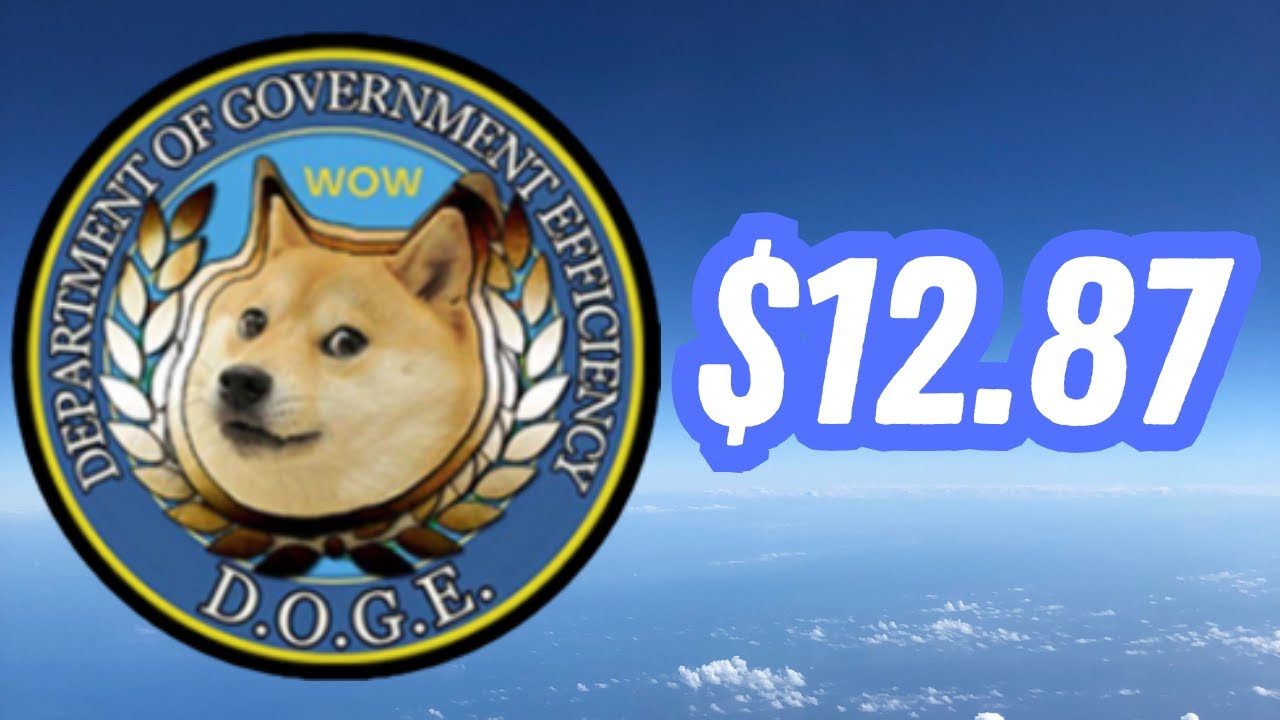 Department Of Government Efficiency (DOGE) 2025 Price Prediction - YouTube
