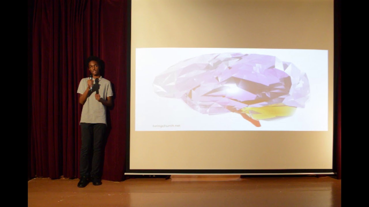 The perceived disparity between creative and scientific minds | Omer Eissa | New English School ...