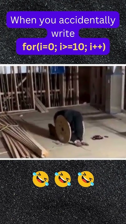 This loop didn’t loop how loops should loop!!!#coding #programming # ...