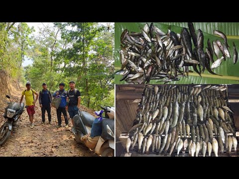 MIZO TRADITIONAL FISHING PART-1 || KHANGDING IN #SANGHA KAN VUA#FISH# ...