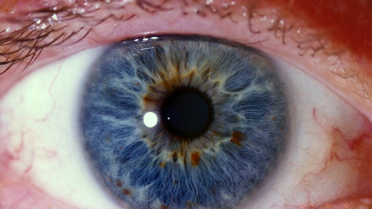 A Feast for Your Eyes - YouTube