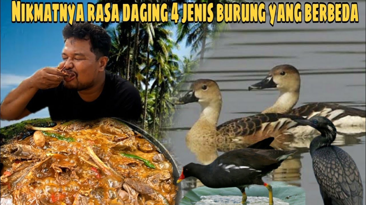 SUPER NIKMAT‼️SEMUR SANTAN DAGING BURUNG EMPAT RASA YANG BERBEDA ...