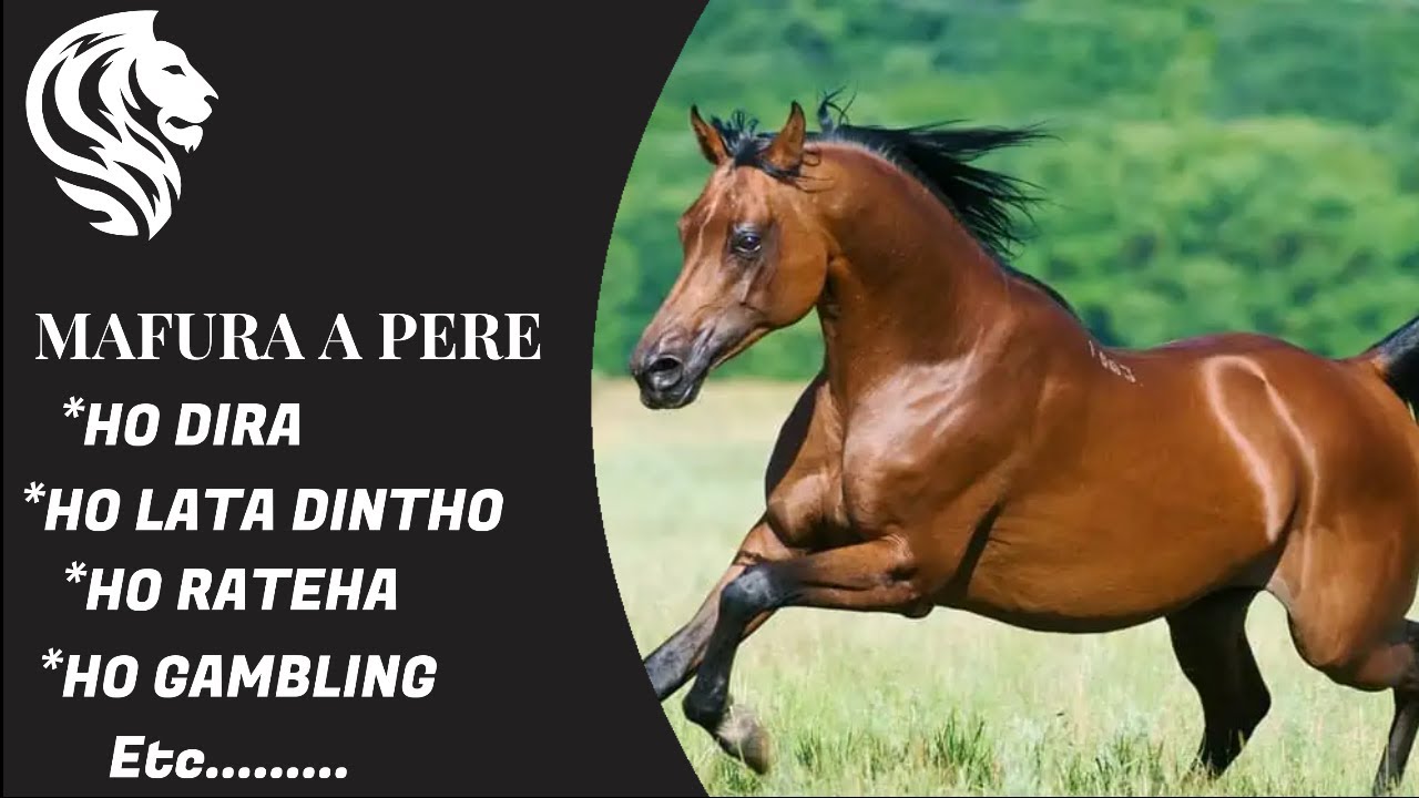 MAFURA A PERE (VERY POWERFUL) - YouTube