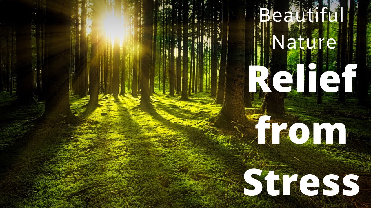 Beautiful Nature || Stress Relief and Happiness 🙂 - YouTube