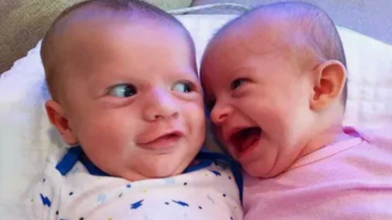 Funny Baby Videos that Will Melt Your Heart - Cute Baby Videos - YouTube