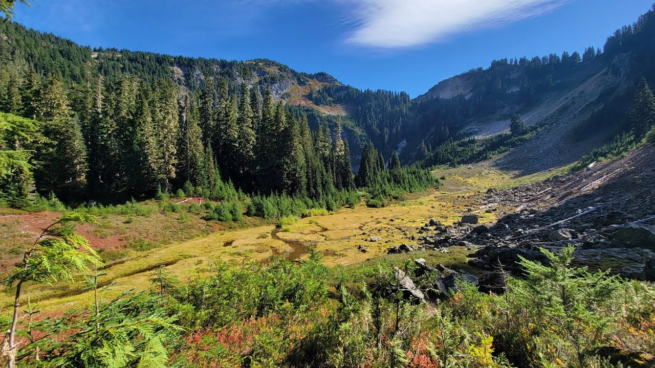 Autumn PNW mushroom picking & backpacking | North Cascades 9.28.24 ...