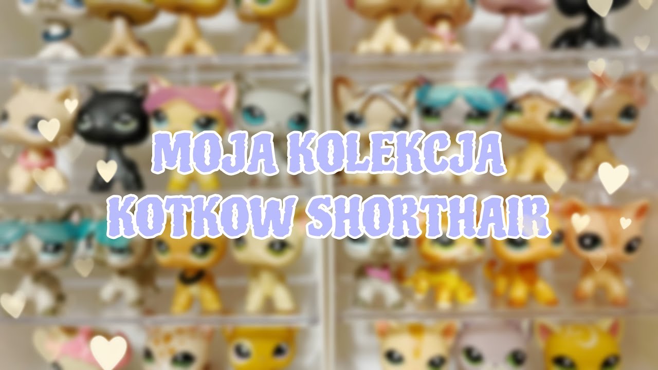 LPS: My SHC collection! //moja kolekcja kotkow shorthair// |LPS POLSKA ...