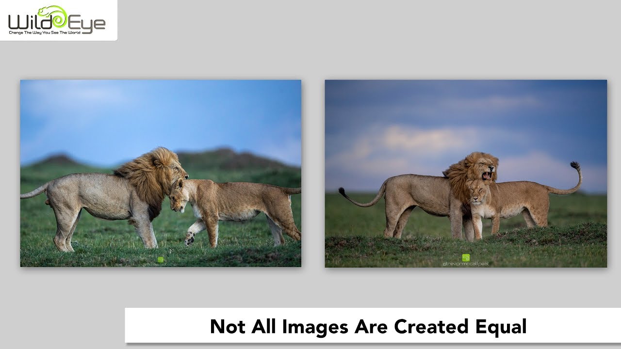 Images Are Not Created Equally - YouTube