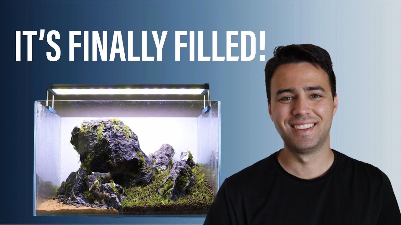 It's Finally Complete! - YouTube