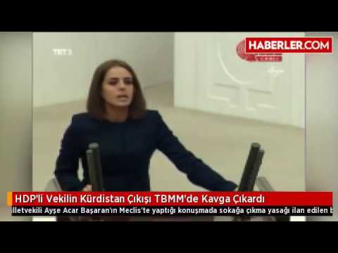 TBMM bayan milletvekileri kavgasi