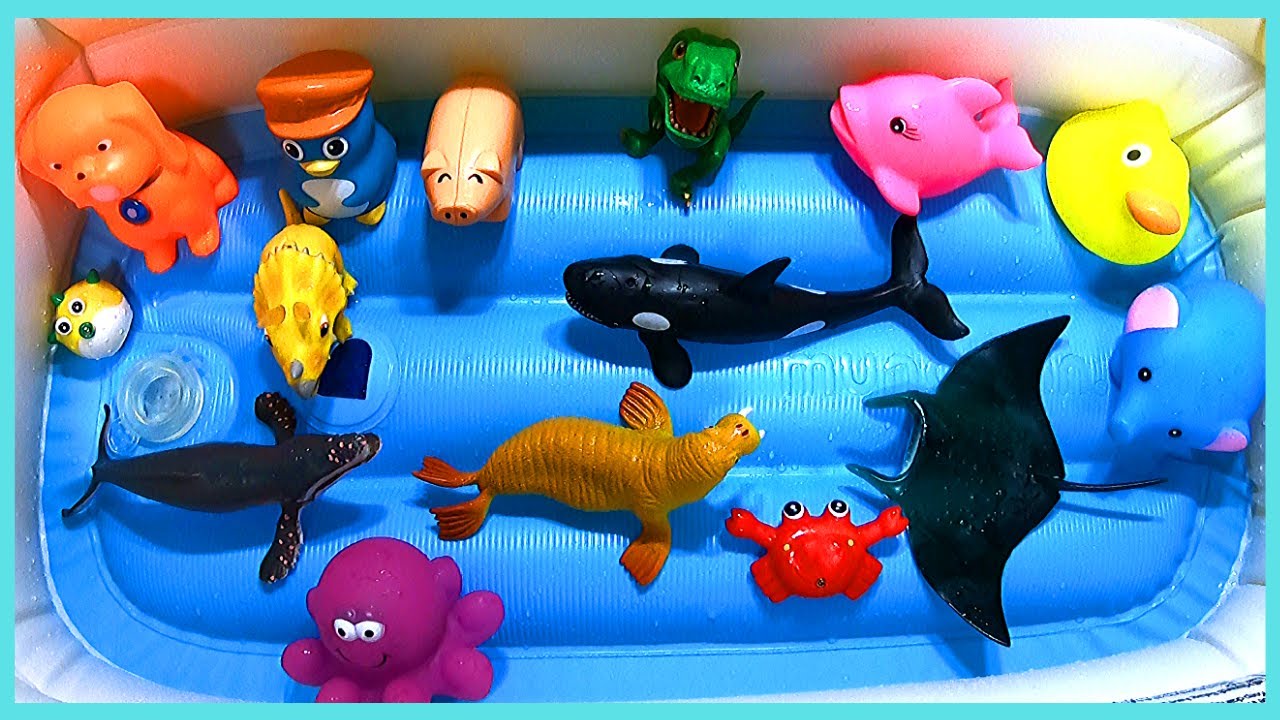 Learn Color with Sea Animals Wild Zoo Farm Animals name English Korean ...