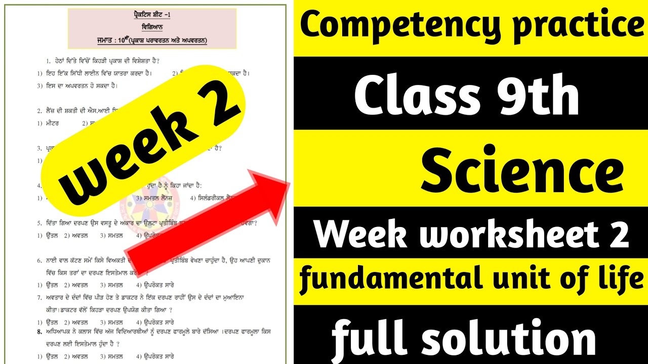 pseb competency based paper class 9th science worksheet 2 test 2024 # ...