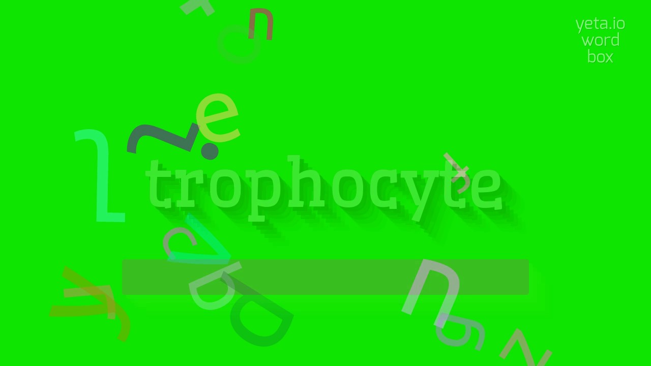 How to say "trophocyte"! (High Quality Voices) - YouTube