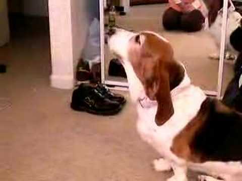 Ruby howling - YouTube