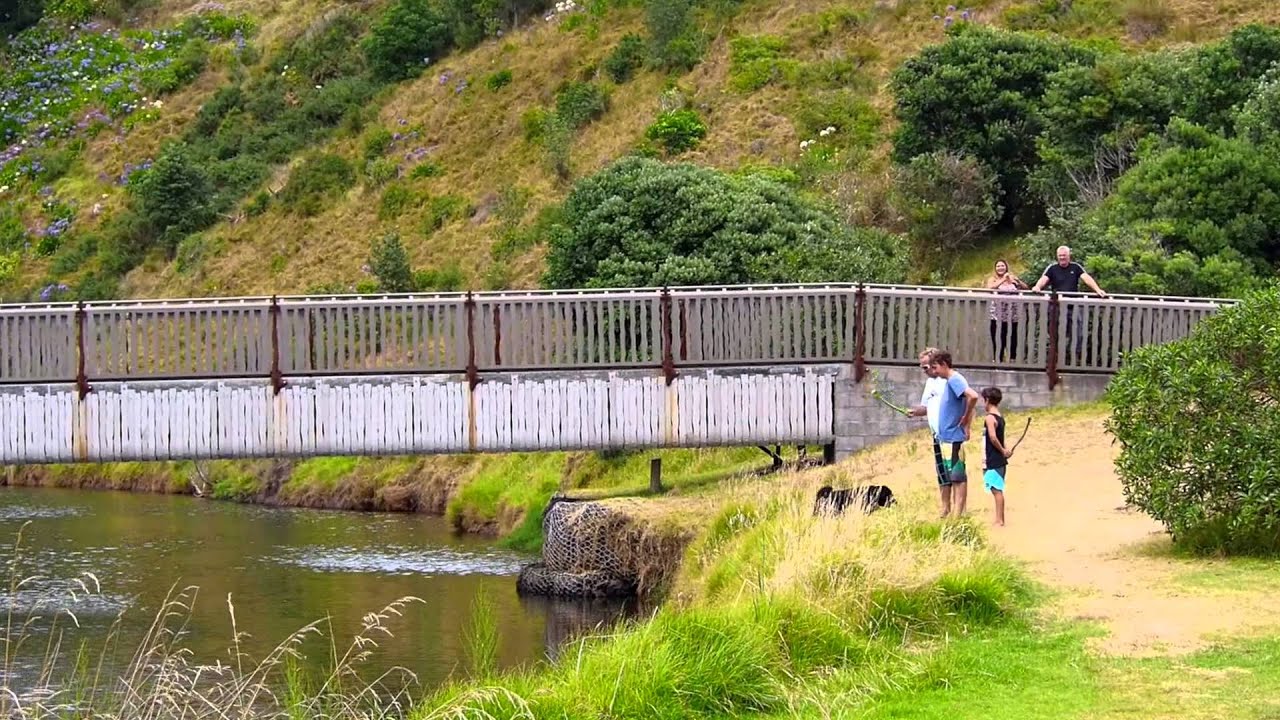 MoonRocks Piha Camp Ground - YouTube