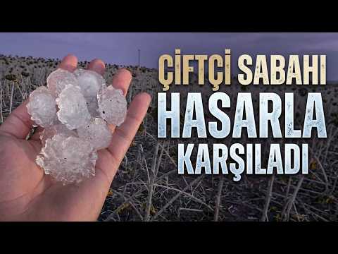 Ceviz Büyüklüğündeki Dolu Tekirdağ'da Tarlaları Yerle Bir Etti