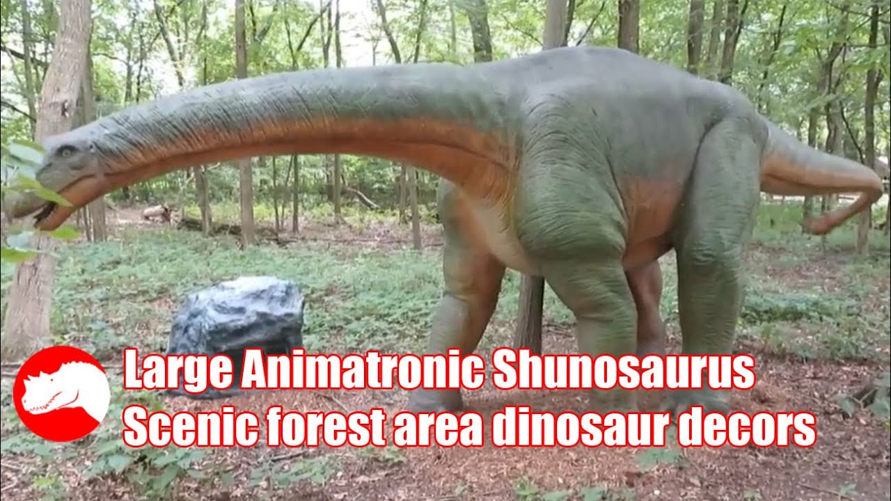 Large Animatronic Shunosaurus - Scenic Forest Area Dinosaur Decors ...