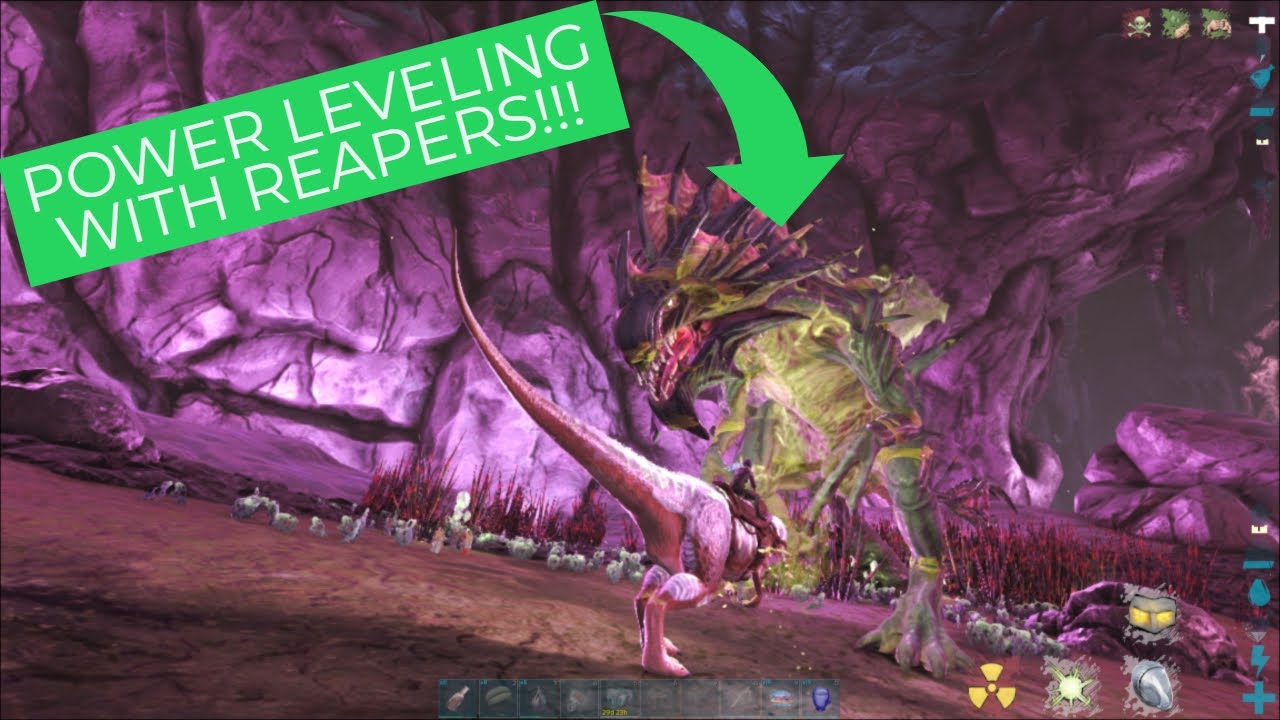 POWER LEVEL WITH REAPERS TRICK!!!!!! - YouTube