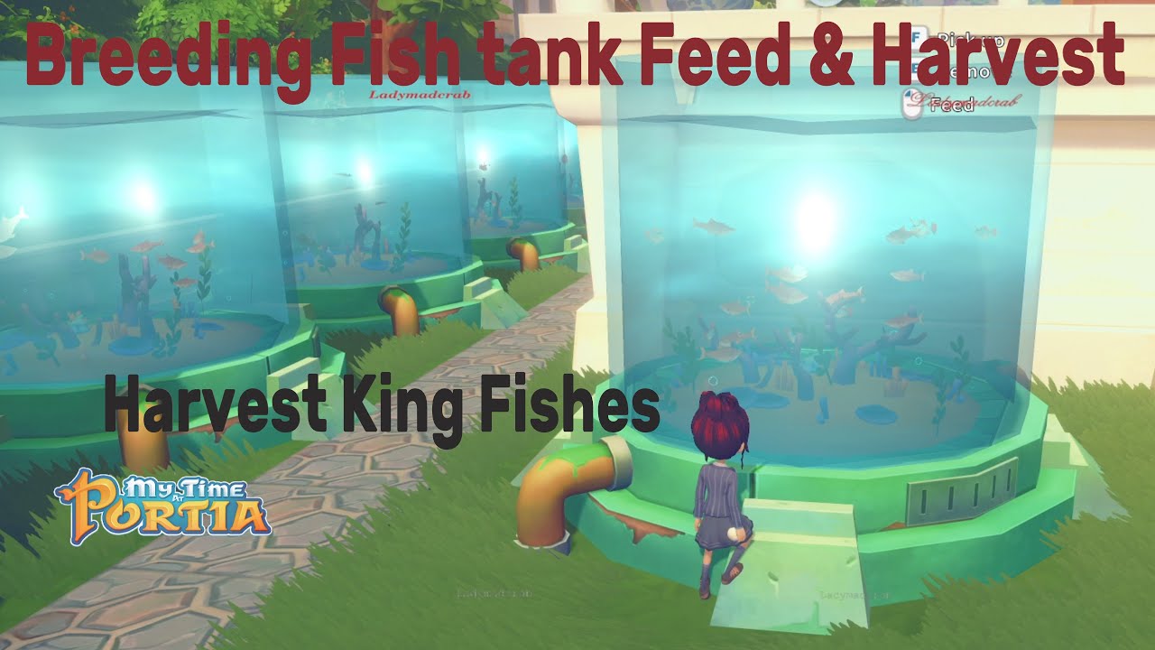 Harvest King Fish, Feed & Breed MY TIME AT PORTIA - YouTube