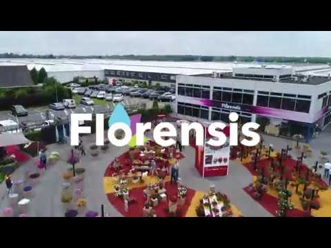 Florensis | Flower Trials® 2018 - YouTube