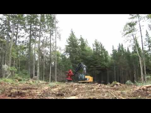 Cat® 521 Track Feller Buncher with an HF201 - YouTube