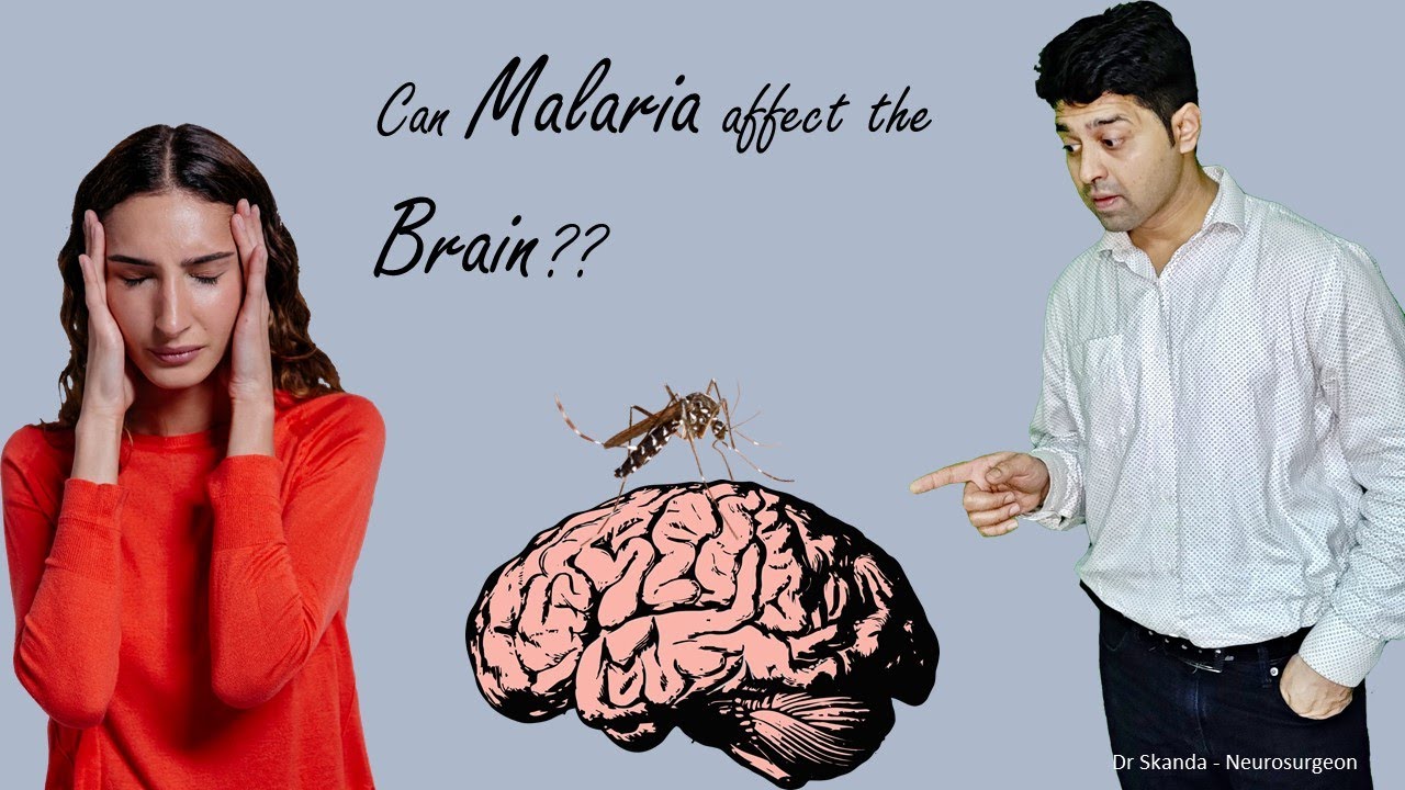 Cerebral Malaria: What happens if Malaria affects the Brain ...